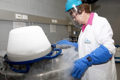 Centres & Facilities - Harry Perkins Institute of Medical Research
