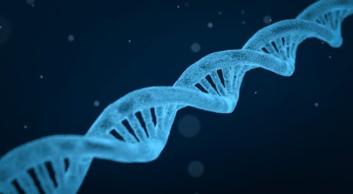 Gene Mutation Discovery Sheds Light on Rare Muscle Disorder - Harry ...