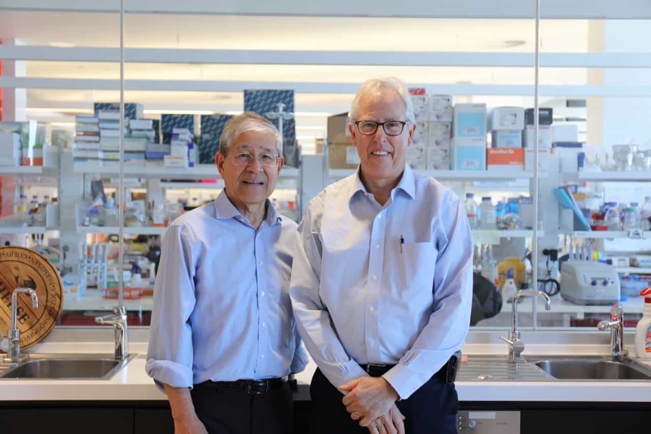 New drug hope to slow liver cancer tsunami - Harry Perkins Institute of ...