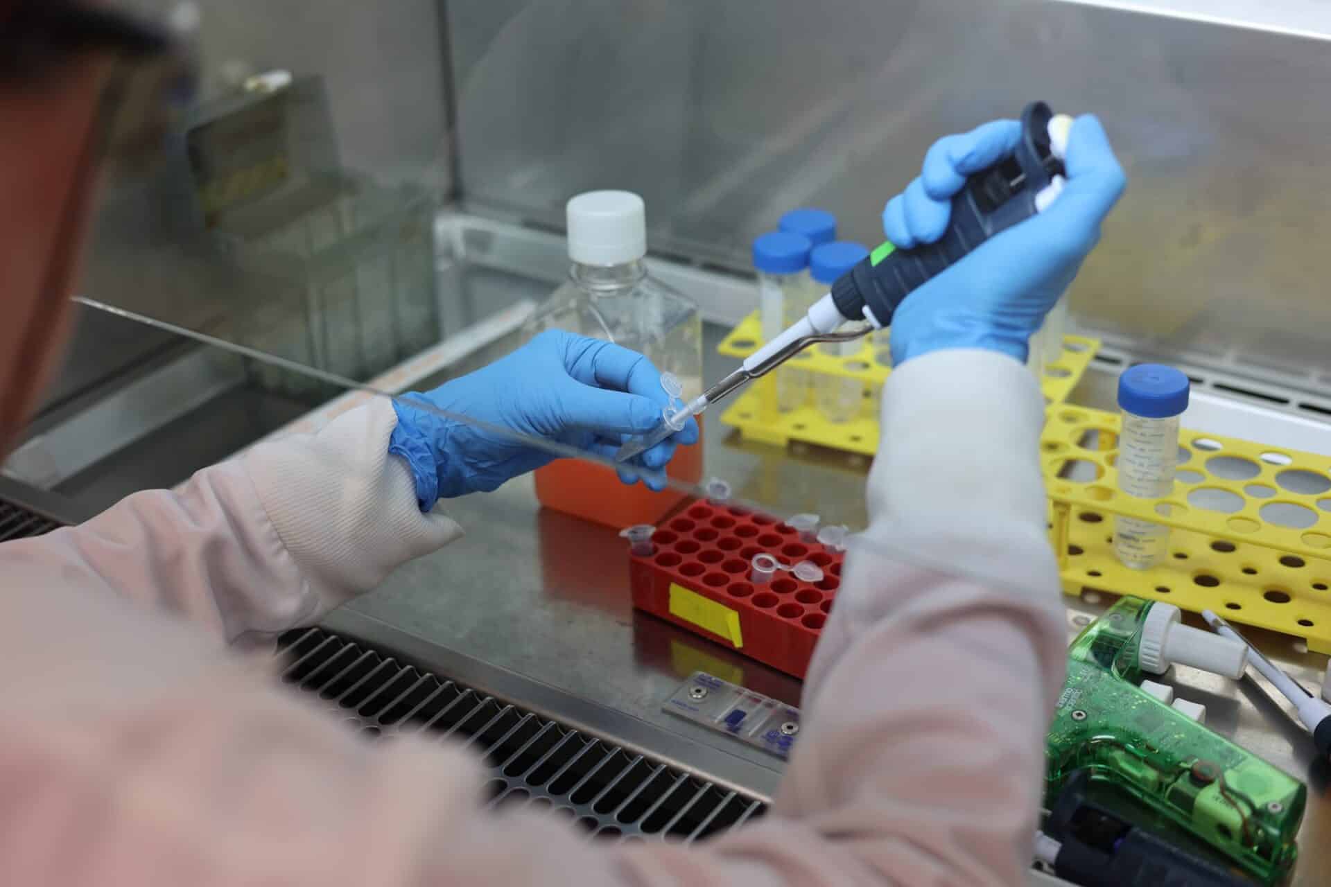 $3.5 million research collaborative brings cell therapy for solid ...