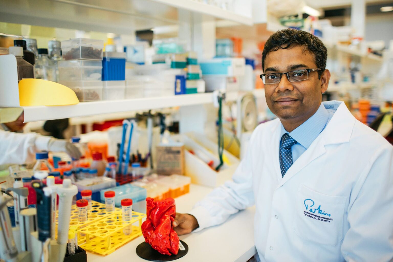 Perkins partners with Victor Chang Cardiac Research Institute for ...